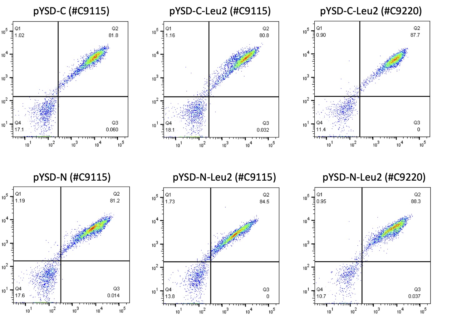 Yeast display vectors